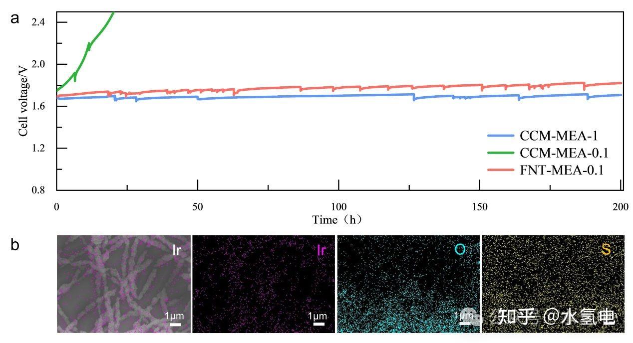 中科院JMCA：PEMWE 3D纳米纤维网络阳极加速质量和质子输运 - 知乎
