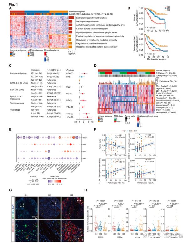 利用多组学数据结合亚型鉴定轻松发12分+SCI - 知乎