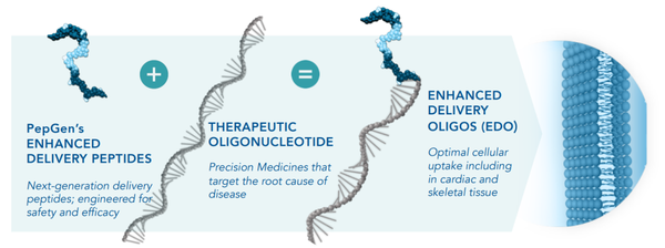 快讯 | PepGen宣布治疗DMD的候选药物PGN-EDO51进入II期临床 - 知乎