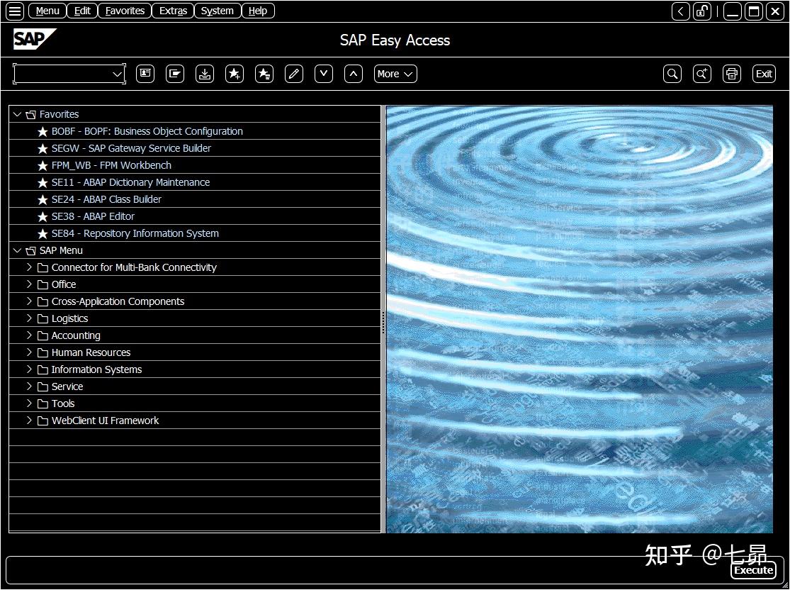 思爱普（SAP）真难之GUI主题设置 - 知乎