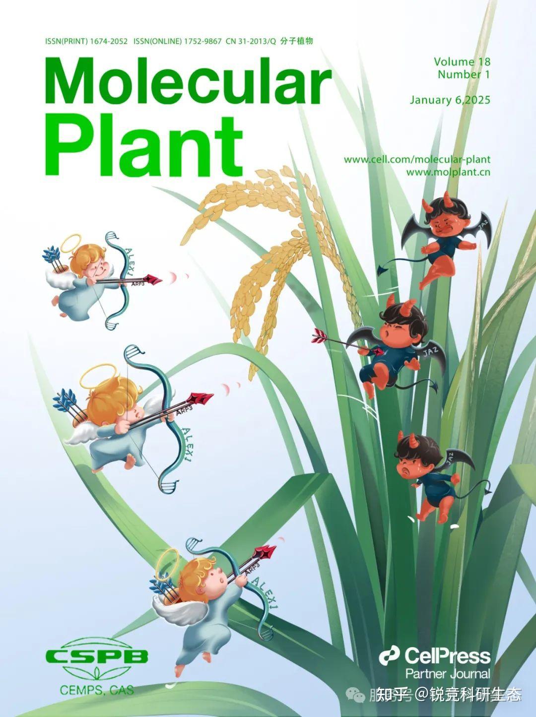《Molecular Plant》封面设计全过程分享 | Vol.18 No.1 - 知乎