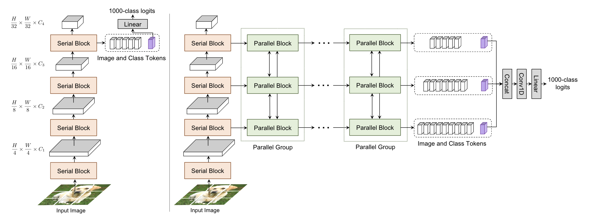 Vision Transformer in CV - 知乎
