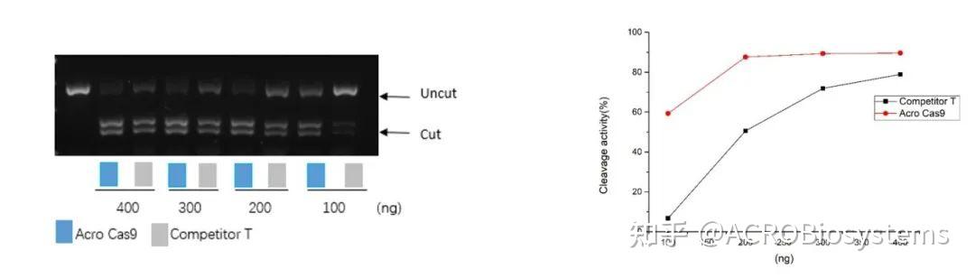 GMP级CRISPR/Cas9：改写生命密码的‘魔剪’力量 - 知乎