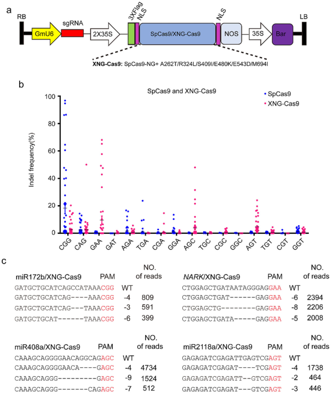大豆与CRISPR/Cas9那些剪不断理还乱的故事 - 知乎