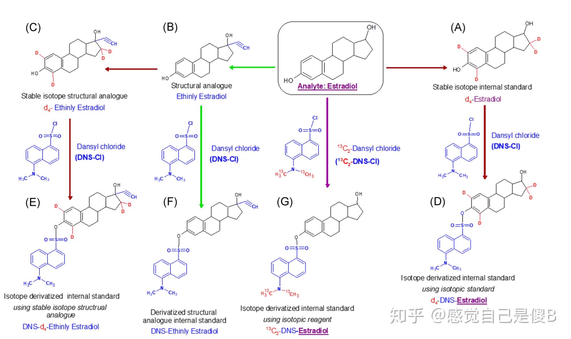 常用的衍生化反应01（bio Analytical 知乎