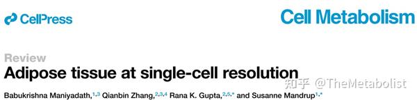 Cell Metabolism：单细胞解析脂肪组织可塑性 - 知乎