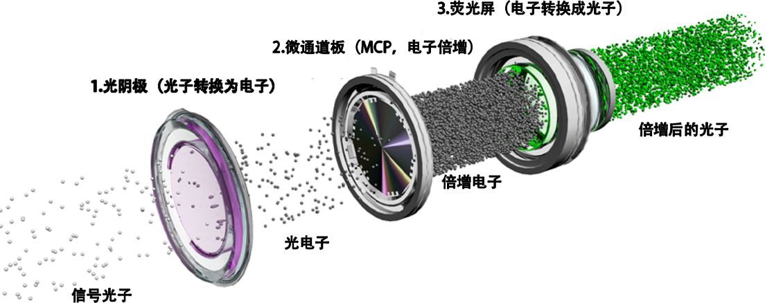 知识点丨如何选择IsCMOS像增强相机？ - 知乎