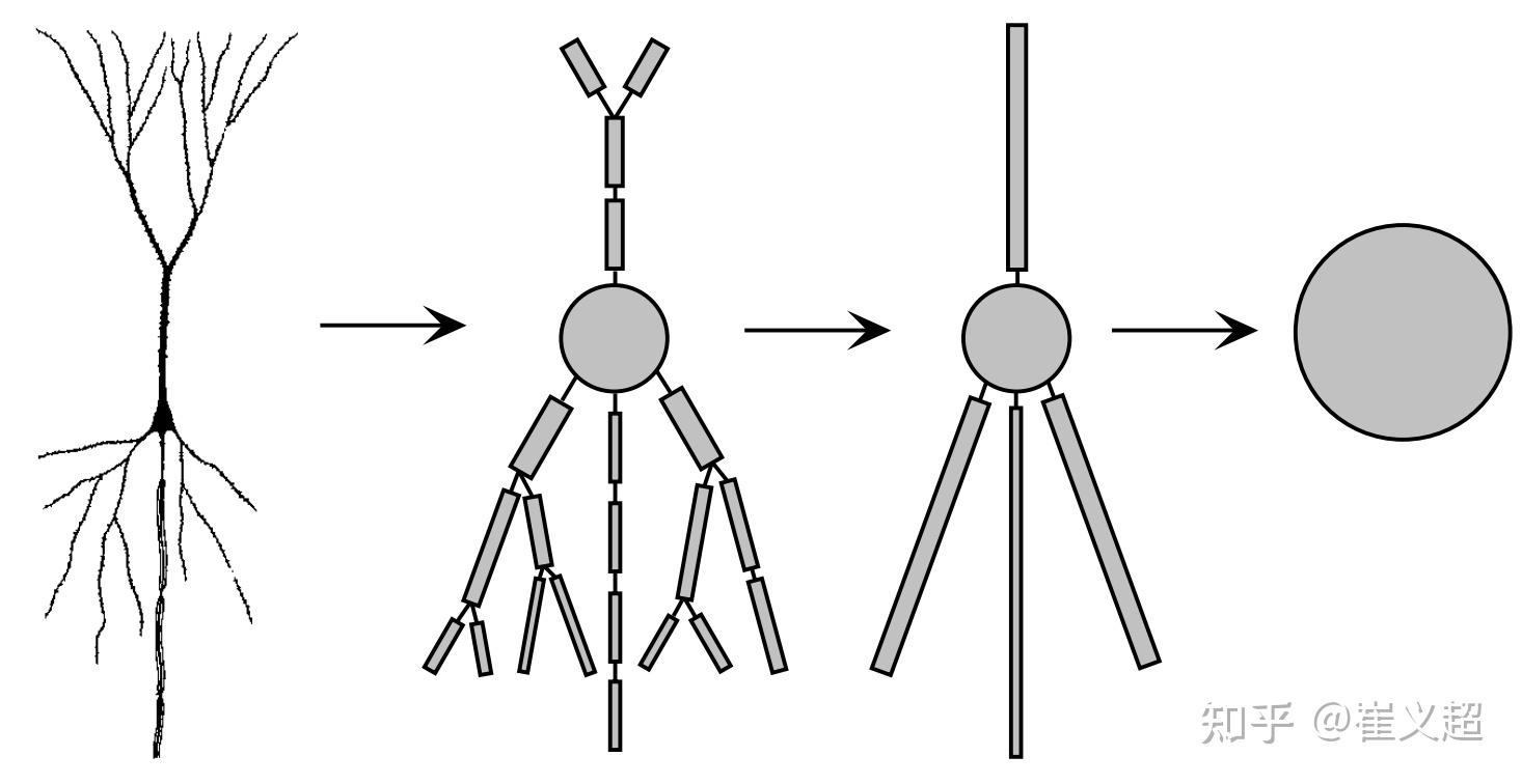 从神经科学到人工智能（九）- 多室模型（multi-compartment model）与动作电位沿轴突的传播 - 知乎