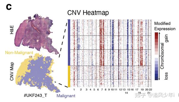 时空CNV分析导论 - 知乎