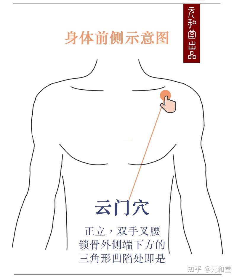 咳嗽最怕这个穴位，止咳、祛痰、宣肺气，不去医院不吃药，自己按按就能缓解 知乎