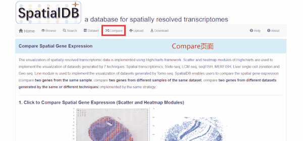 单细胞数据库推荐 | SpatialDB：让空间转录组数据可视化 - 知乎