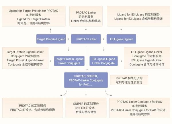 PROTAC——靶点选择与设计 | MedChemExpress - 知乎