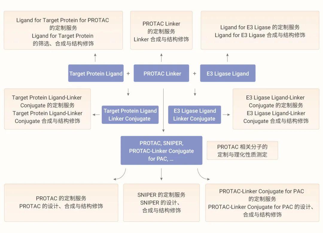 PROTAC——靶点选择与设计 | MedChemExpress - 知乎