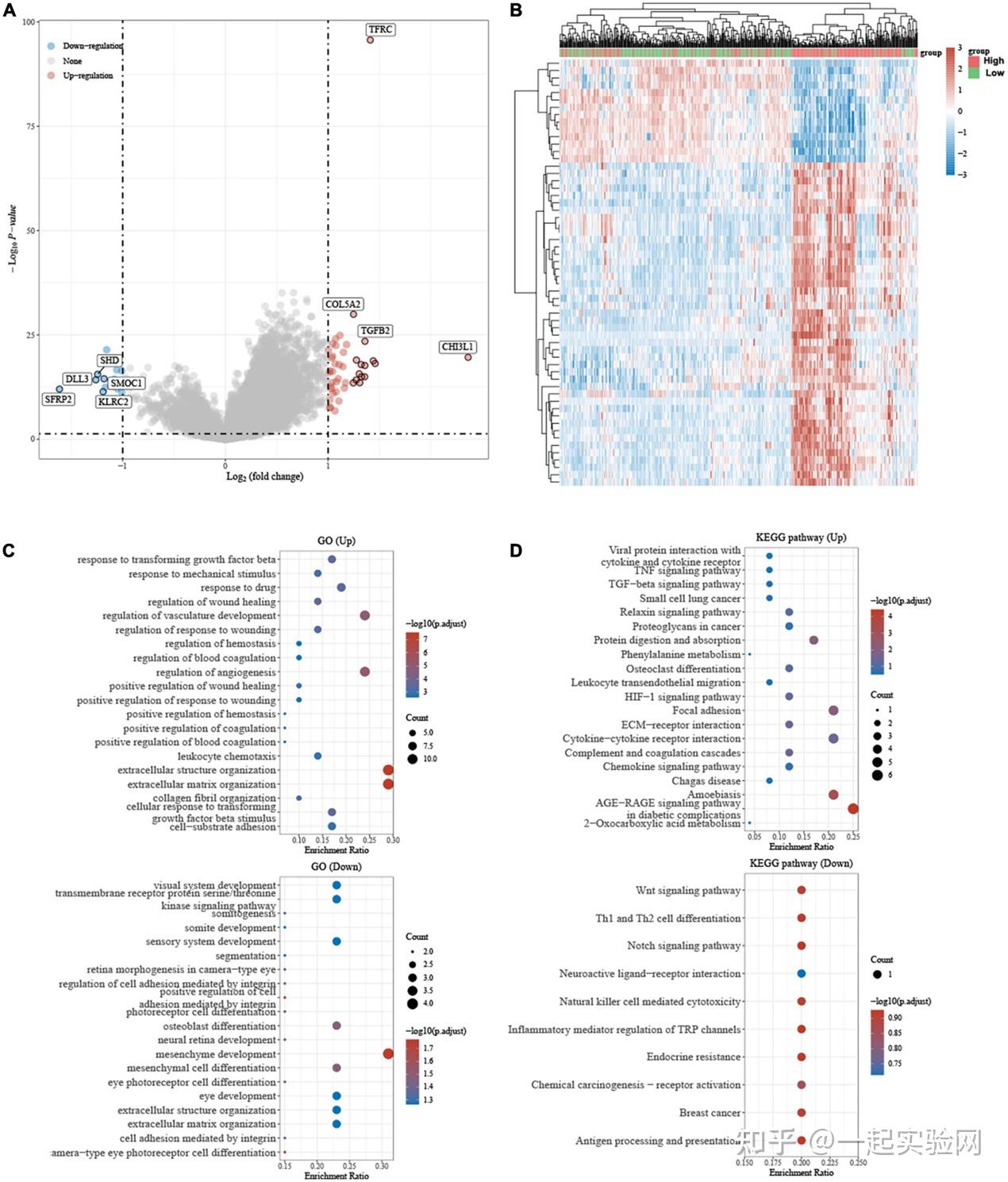 6+TRFC相关预后思路分享，铁死亡姊妹篇！ - 知乎