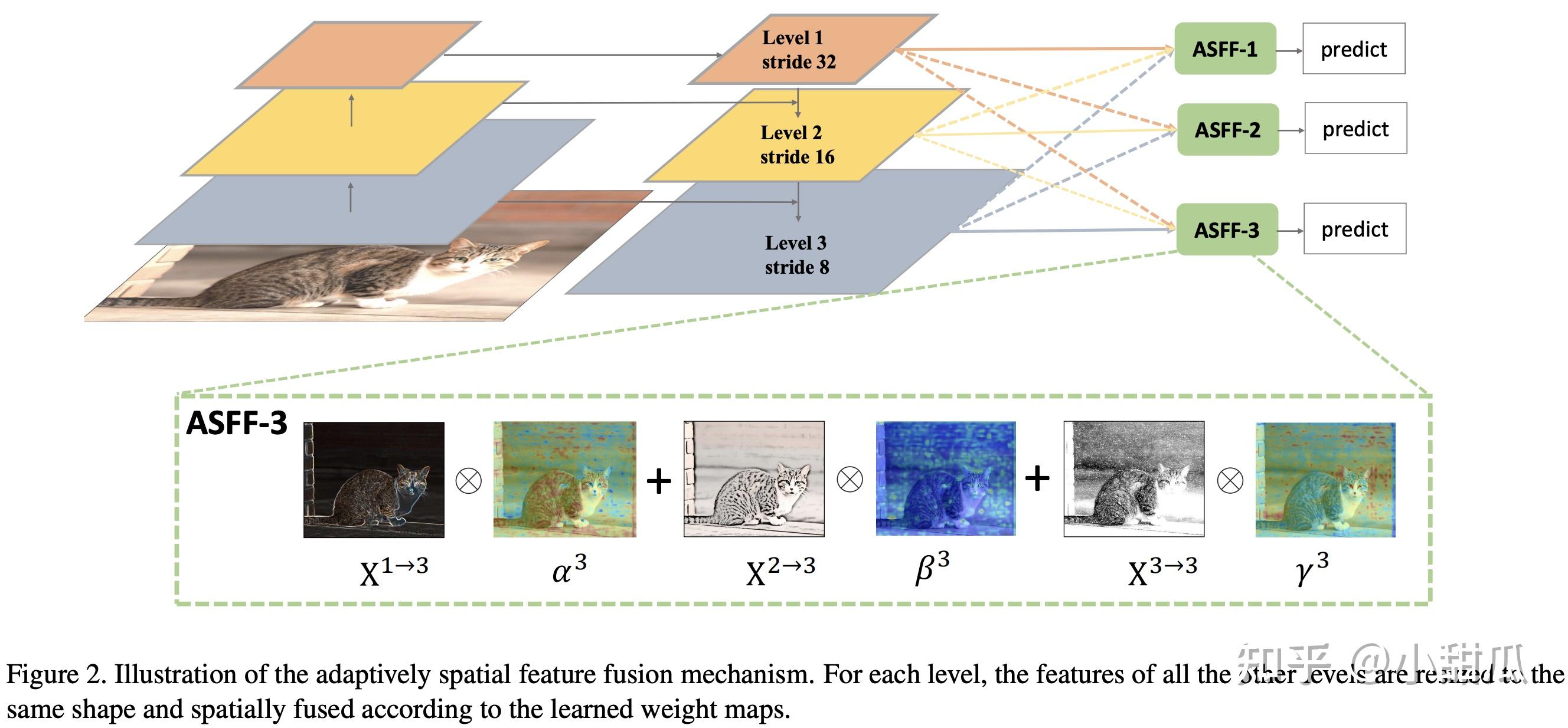 ASFF: Learning Spatial Fusion for Single-Shot Object Detection - 知乎
