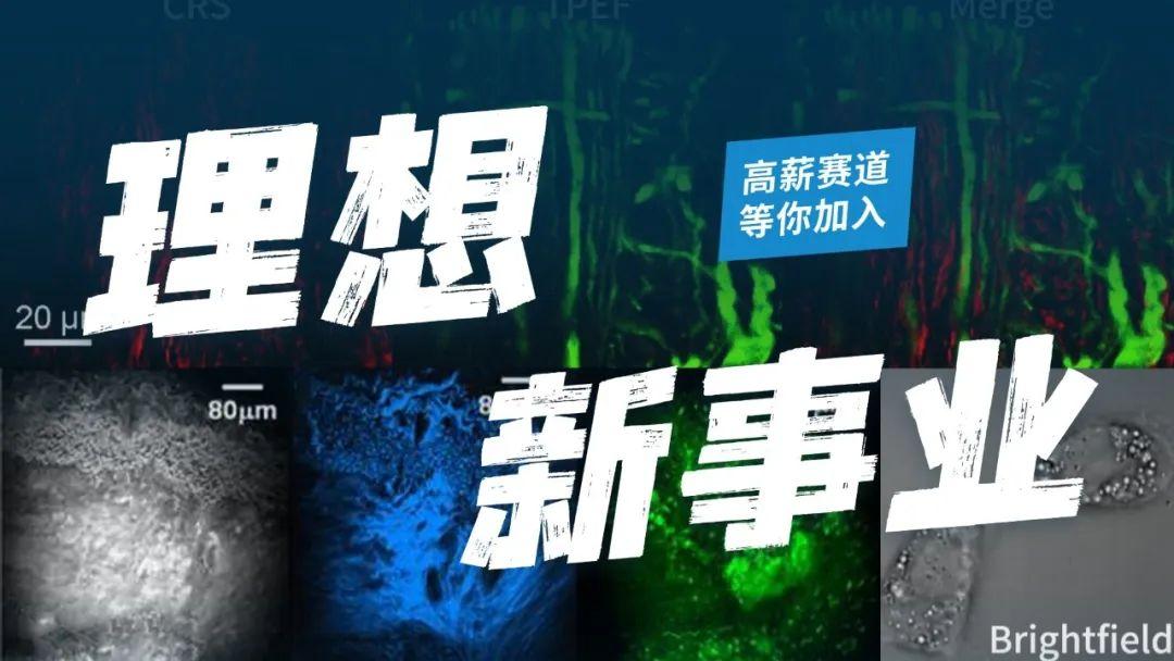 振电科技VibroniX 高薪猎英！ - 知乎