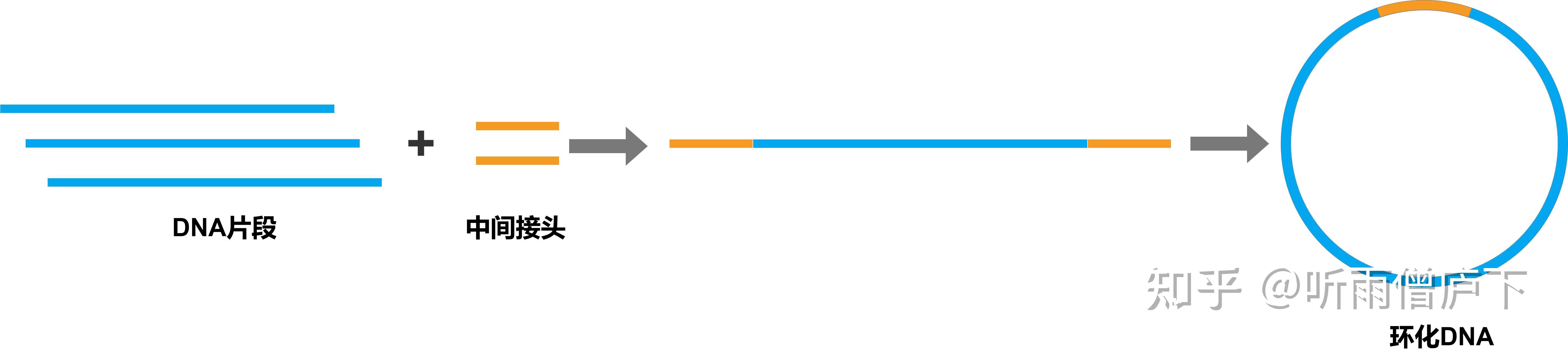 第二代DNA测序原理 - SOLiD 测序技术 - 知乎