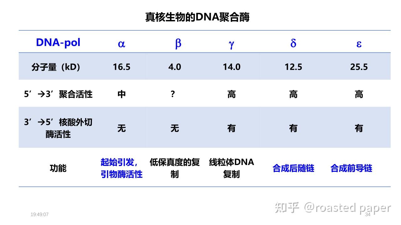 生化与分子生物学——分子生物学篇之DNA生物合成和损伤修复 - 知乎