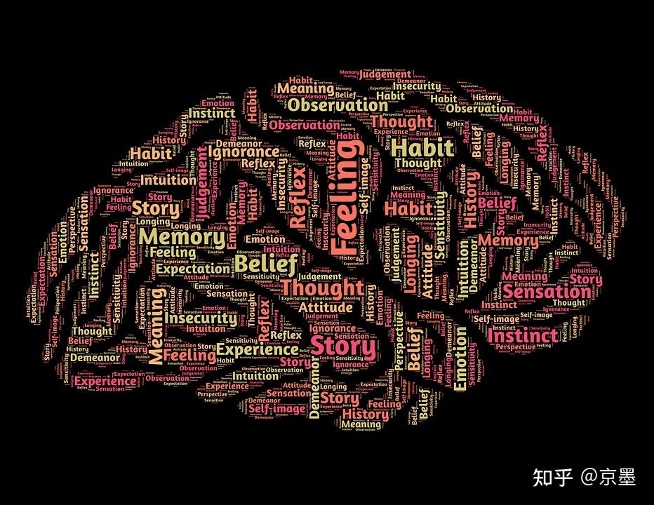“学习”是如何发生的？怎么做到有效学习？ 知乎 