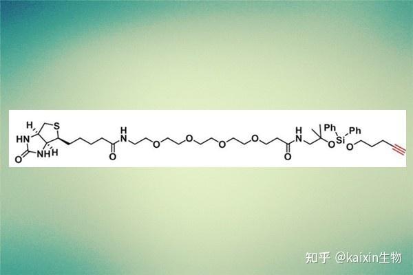 生物素标记试剂：Alykne-Biotin-DADPS,2241685-22-1,DADPS-生物素-炔 - 知乎