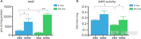 一文读懂NMN（NMN介绍、NMN副作用、NMN功效） - 知乎