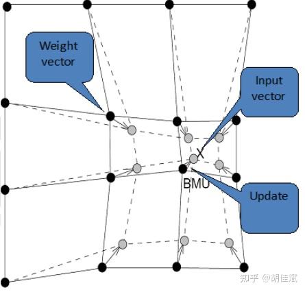 自组织映射(Self-organizing map, SOM) - 知乎