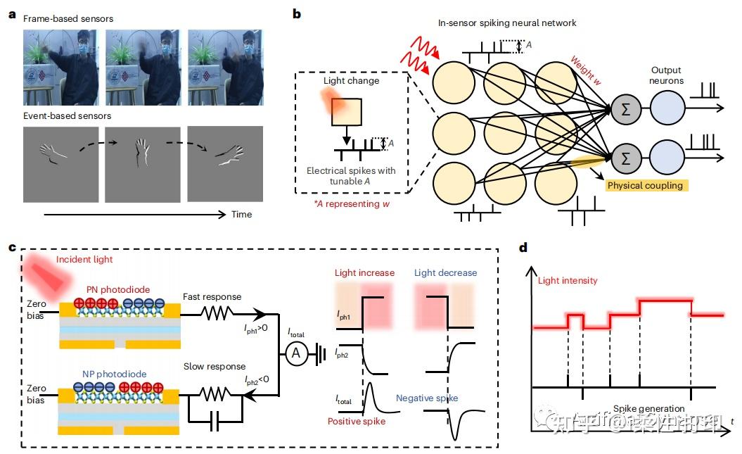 神经形态又一Nature Electronics，用于传感器内尖峰神经网络的计算事件驱动视觉传感器 - 知乎