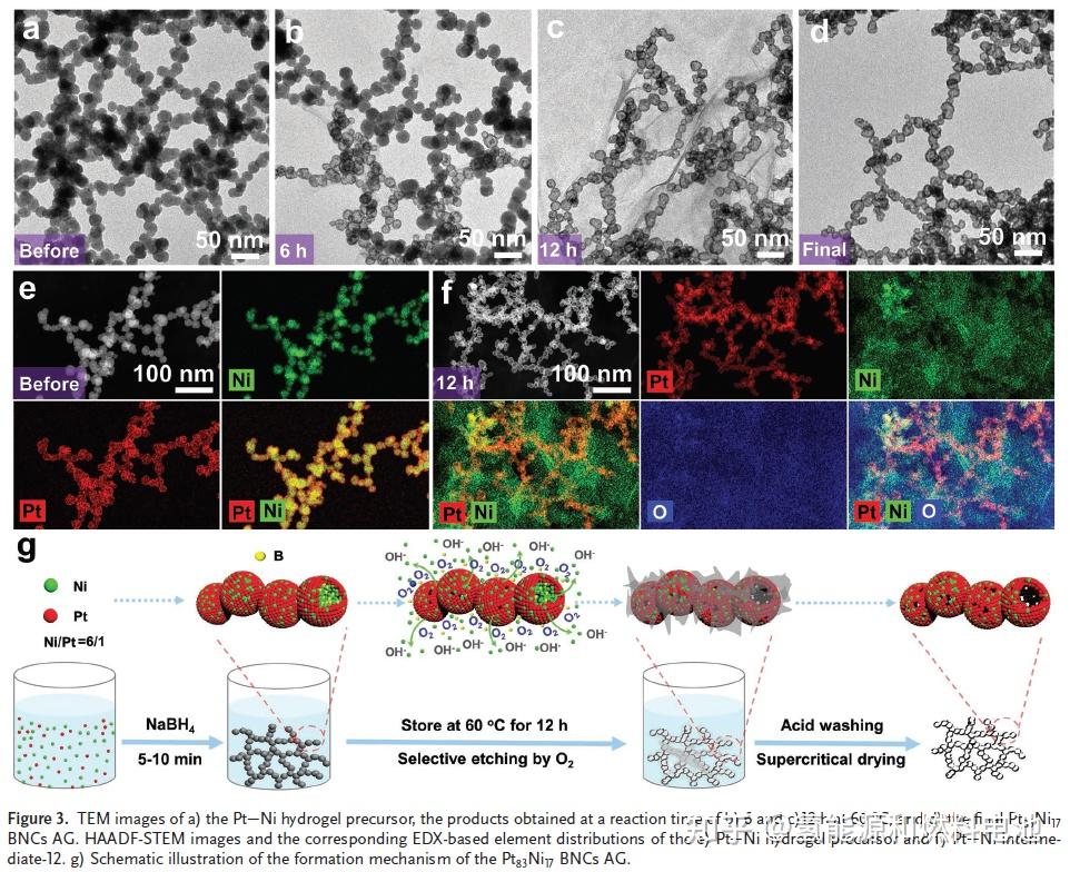 AEM：可扩展可控制的合成Pt-Ni束状纳米笼气凝胶作为高效氧还原反应电催化剂 - 知乎