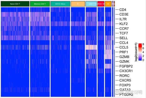 美化你的单细胞各个亚群特异性高表达基因热图 - 知乎