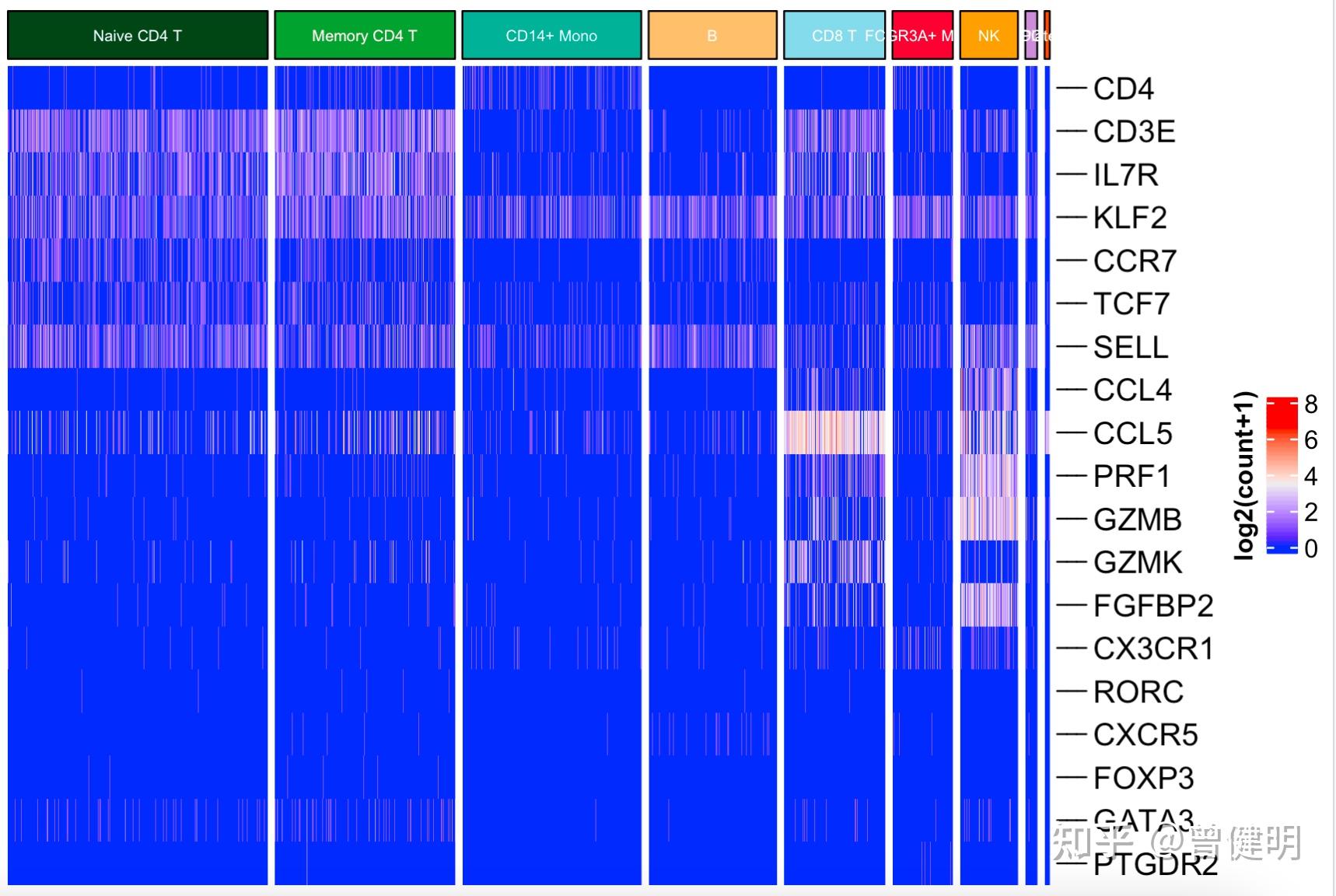 美化你的单细胞各个亚群特异性高表达基因热图 - 知乎