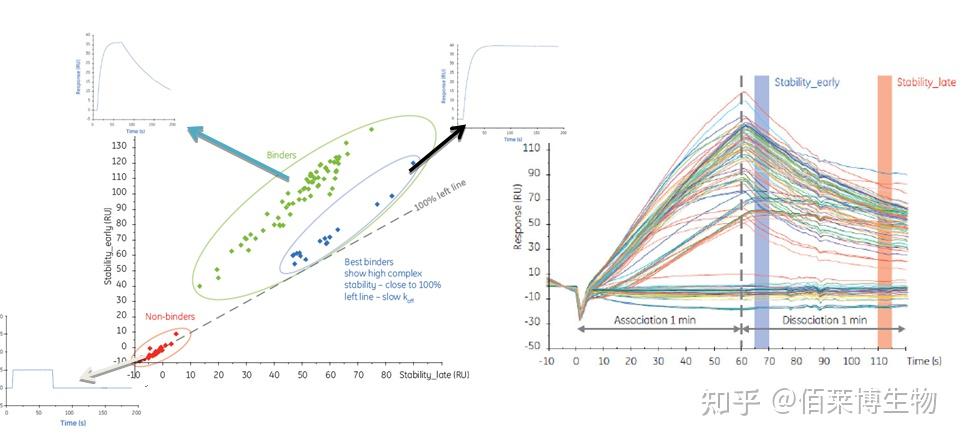 Biacore（SPR）生物分子相互作用技术 - 知乎