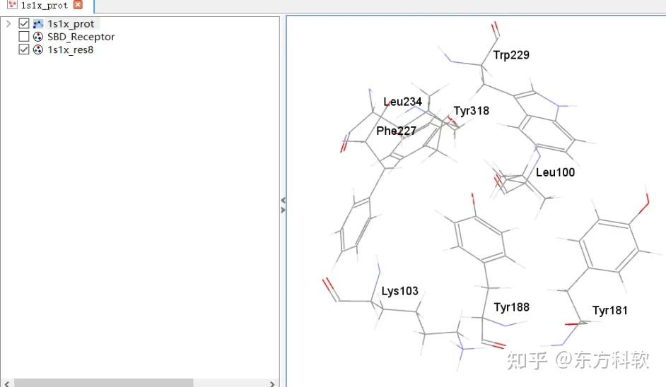 Discovery Studio | Flexible Docking介绍与教程 - 知乎
