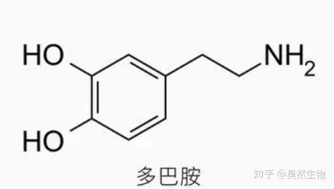 NHS-PEG-Dopamine/棕榈酸/iRGD，PEG1/3.4K,氨基PEG多巴胺/多肽 - 知乎