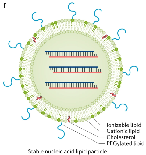 Nature Drug Delivery | Advances in oligonucleotide drug delivery - 知乎