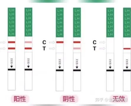 HCG值多少是怀孕，HCG对照表与孕周期怎么看？一文教你读懂！ - 知乎