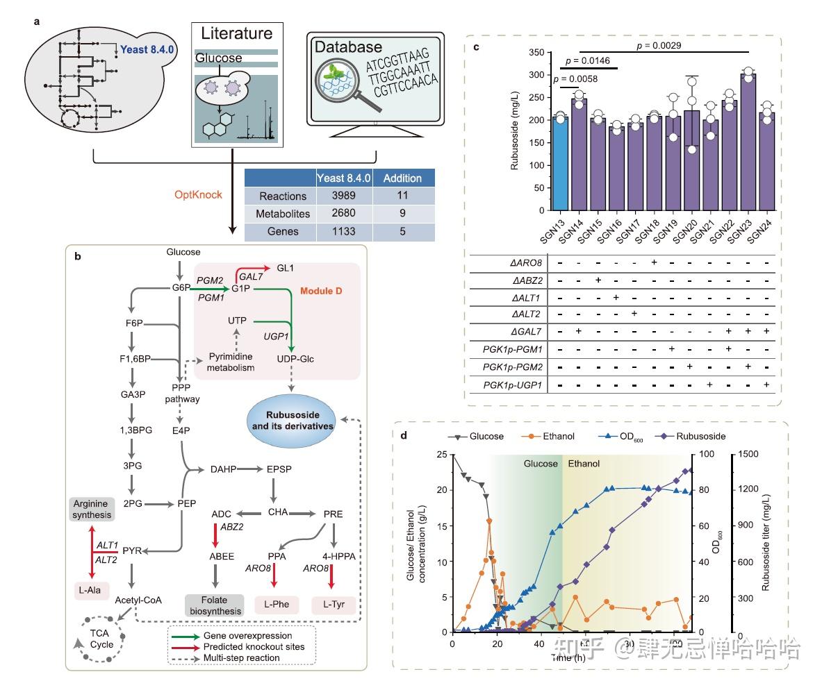 在工程酵母中的新生合成：rubusoside和 rebaudiosides - 知乎