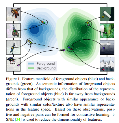 CVPR2022 CCAM | 用于目标定位和语义分割的弱监督对比学习模型 - 知乎