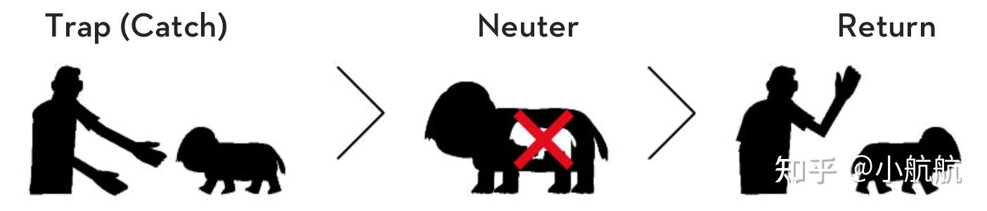 “铲屎官”的自我修养之常用英文表达 - 知乎