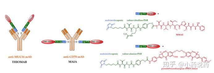 开发中的新策略：第三代ADC - 知乎