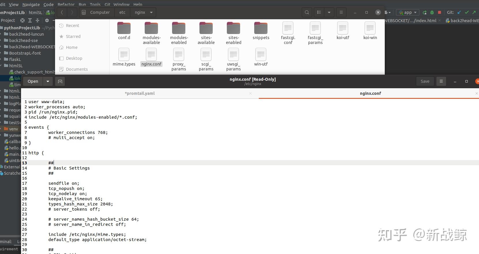 基于Loki + Promtail + Grafana搭建Nginx日志监控 - 知乎