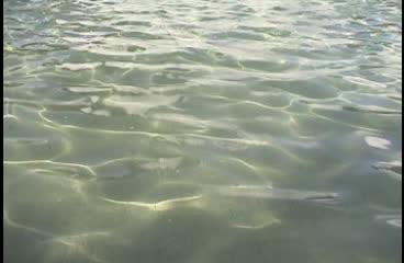 15. 如何通过缝隙拼接图像 - Graphcut Texture - 知乎