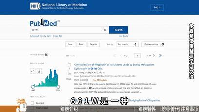 661W细胞培养，小鼠视网膜感光细胞培养攻略 - 丰晖生物 - 知乎