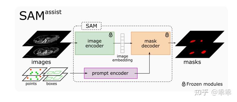SAM-Med : A medical image annotation framework based on large vision ...