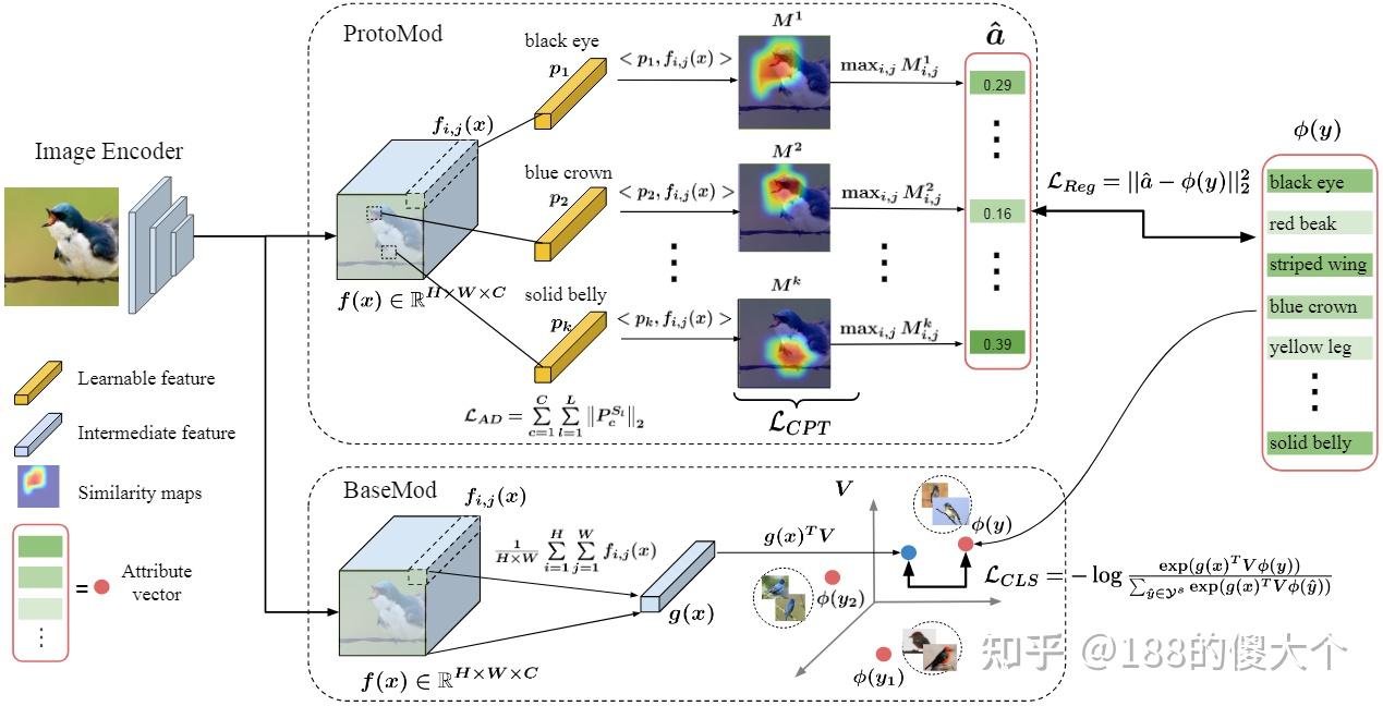 [保姆式科研之ZSL] ③Attribute Prototype Network for Zero-Shot Learning - 知乎