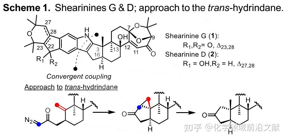JACS主编Carreira组Angew：吲哚类二萜Shearinines D、G的首次全合成 - 知乎