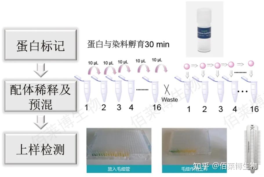 药物与蛋白亲和力检测（MST法）实验服务 - 知乎