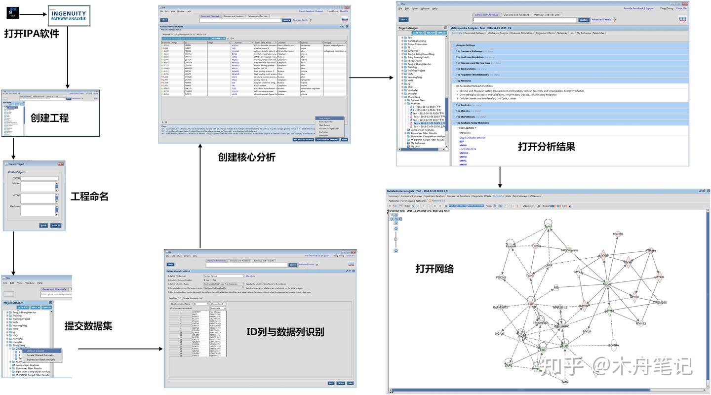 跟着Cell学作图| 11.Ingenuity Pathway Analysis(IPA) - 知乎
