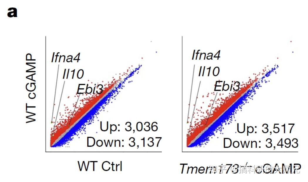 Nature文献剖析 | 如何从RNA-seq测序数据中找到关键基因，展开后续研究？思路1 - 知乎