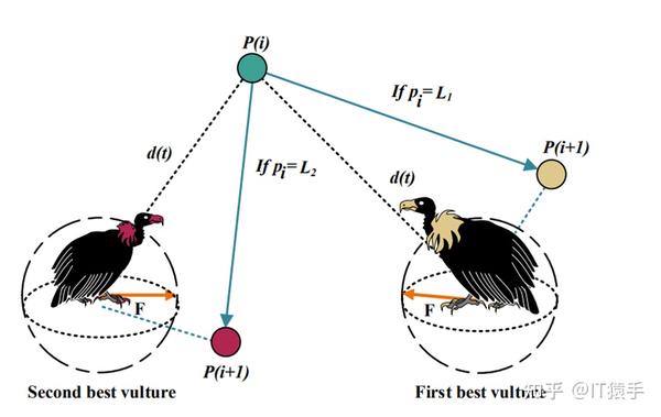 多目标优化算法:多目标非洲秃鹫优化算法(multiple Objective African Vultures Optimization Algorithm,moavoa)matlab代码 知乎