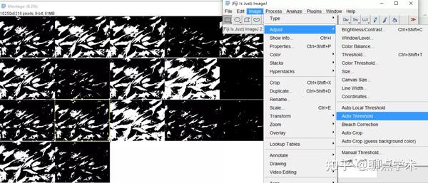 【操作篇】Image J测量平均荧光强度 - 知乎